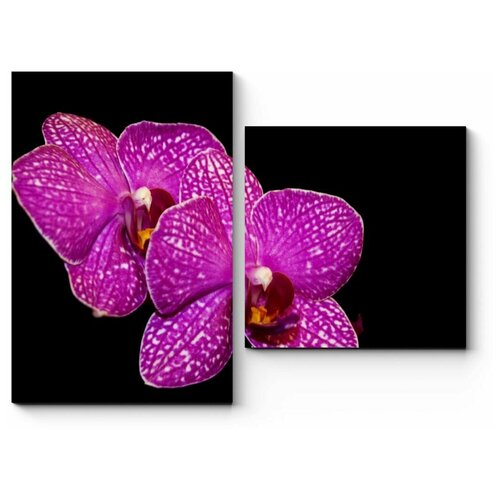 Модульная картина Тропическая орхидея 150x113