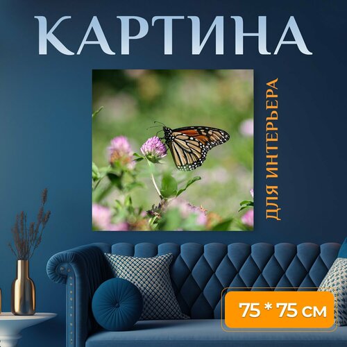 Картина на холсте "Бабочка, монарх, насекомое" на подрамнике 75х75 см. для интерьера