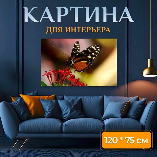 Картина на холсте "Бабочка, экзотика, насекомое" на подрамнике 120х75 см. для интерьера