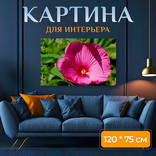 Картина на холсте "Гибискус, цветок, природа" на подрамнике 120х75 см. для интерьера