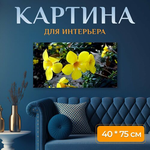 Картина на холсте "Желтые цветы, пентаграммы, цветущие цветы" на подрамнике 75х40 см. для интерьера