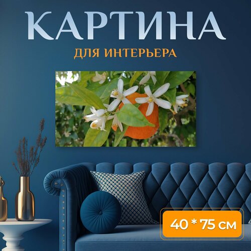 Картина на холсте "Природа, апельсин, лепестки" на подрамнике 75х40 см. для интерьера