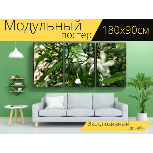Модульный постер "Цветок, белый, тропический" 180 x 90 см. для интерьера