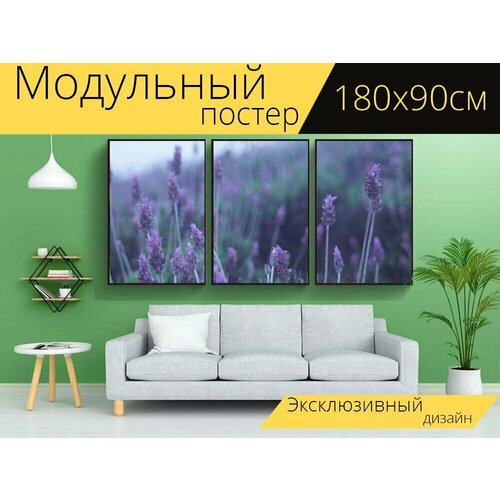 Модульный постер "Лаванда, завод, природа" 180 x 90 см. для интерьера