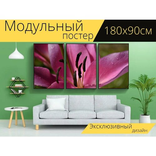 Модульный постер "Лилия, цветок, цвета" 180 x 90 см. для интерьера