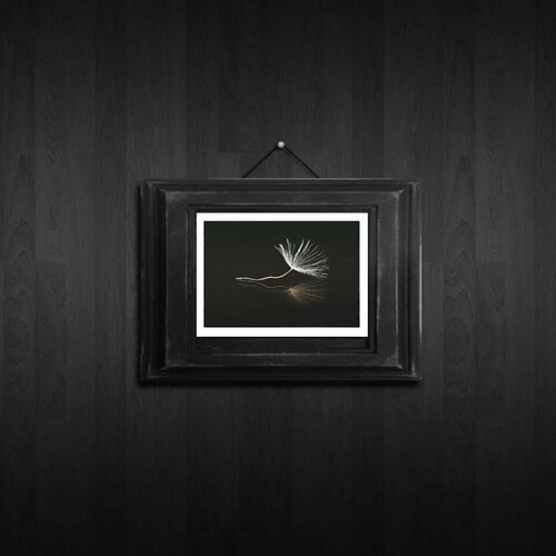 Постер "Растение на черном фоне" от Cool Eshe из коллекции "Креатив", плакат А4 (29,7 х 21 см)