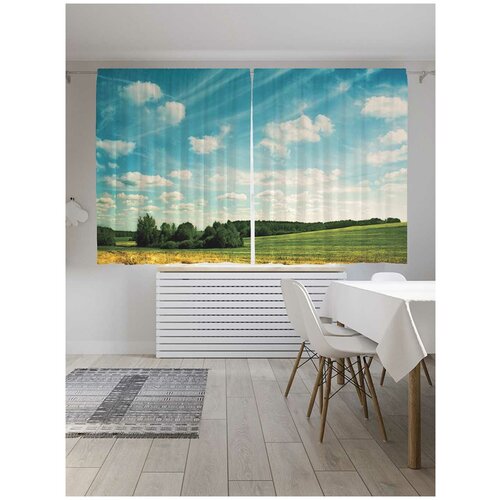 Классические шторы JoyArty "Ветренный день", серия Oxford DeLux, 2 полотна 145x180 см