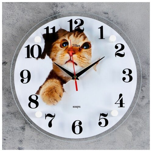 Часы настенные, серия: Животный мир, "Кот", плавный ход, d-30 см 2267970