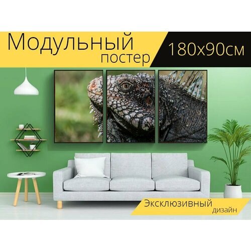 Модульный постер "Игуана, гребневик, ящерица" 180 x 90 см. для интерьера