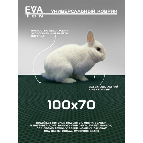 EVA Эва коврик универсальный без окантовки 100х70 см, для питомца, в ванную, прихожую, туалет, балкон. Ева Эво ковер Соты зеленый