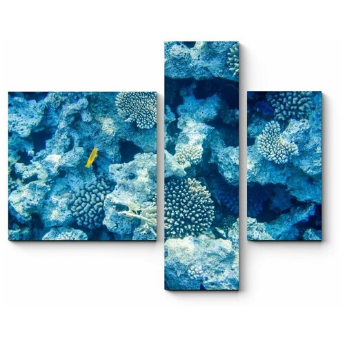 Модульная картина Коралловые рифы 100x83