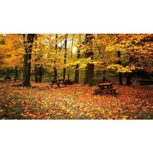 Картина на холсте 110x60 LinxOne "Деревья листва скамейки Лес осень" интерьерная для дома / на стену / на кухню / с подрамником