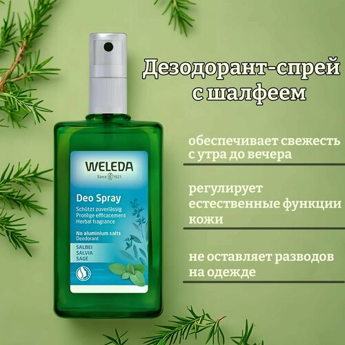 Дезодорант-спрей с шалфеем weleda salvia deodorant