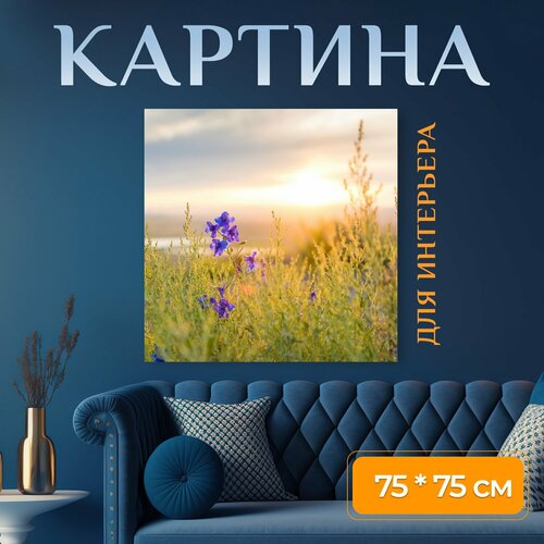 Картина на холсте "Полевой цветок, трава, завод" на подрамнике 75х75 см. для интерьера
