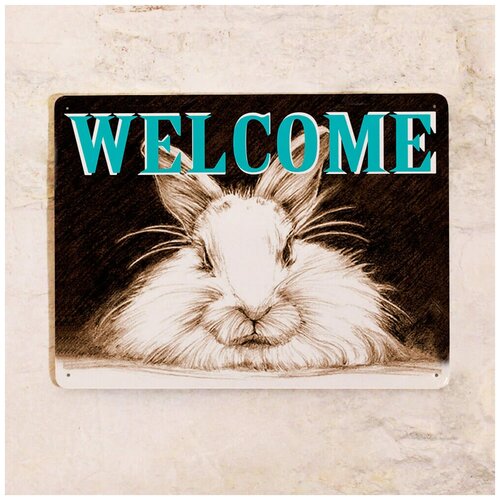 Жестяная табличка Welcome rabbit, металл, 30Х40 см