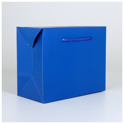 Пакет — коробка «Синий», 23 × 18 × 11 см
