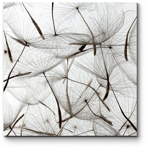 Модульная картина Семена одуванчика 120x120