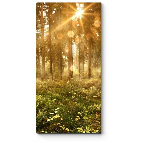 Модульная картина Лучи солнца, пронизывающие лес 90x180
