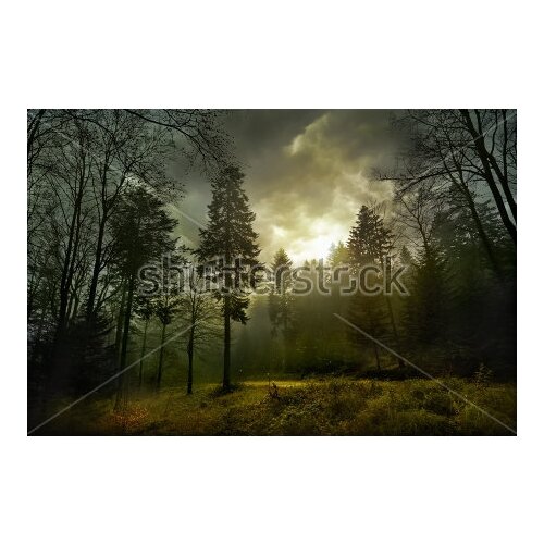 Постер Осенний лесной пейзаж с лучами тёплого света 60см. x 40см.