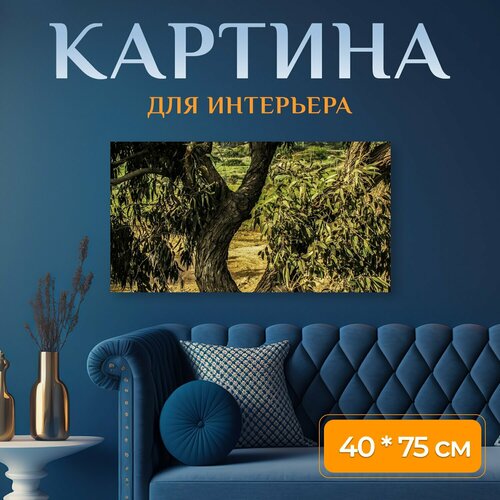 Картина на холсте "Кипр, каво греко, национальный парк" на подрамнике 75х40 см. для интерьера