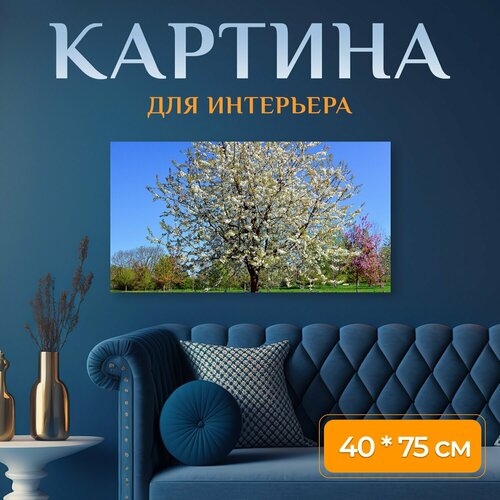 Картина на холсте "Вишневое дерево, дерево, природа" на подрамнике 75х40 см. для интерьера