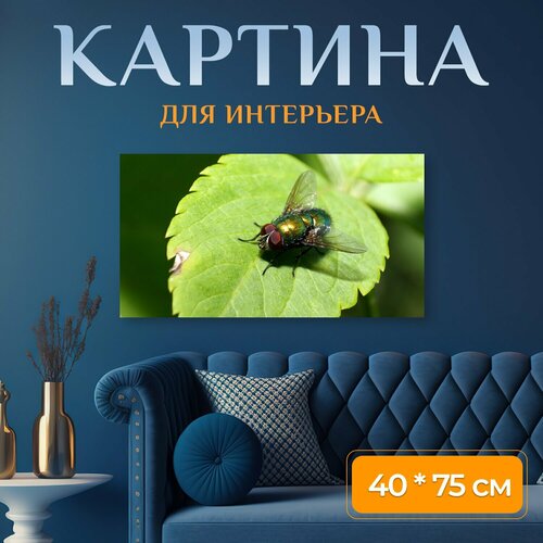 Картина на холсте "Летать, насекомое, жук" на подрамнике 75х40 см. для интерьера