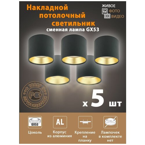 Потолочный светильник накладной точечный / спот под сменную лампу Gx53 OL8 BKGD ЭРА (комплект 5 шт) алюминий, цвет черный с золотом, потолочный спот
