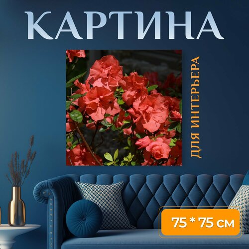 Картина на холсте "Оранжевый азалия, азалия, цветок" на подрамнике 75х75 см. для интерьера