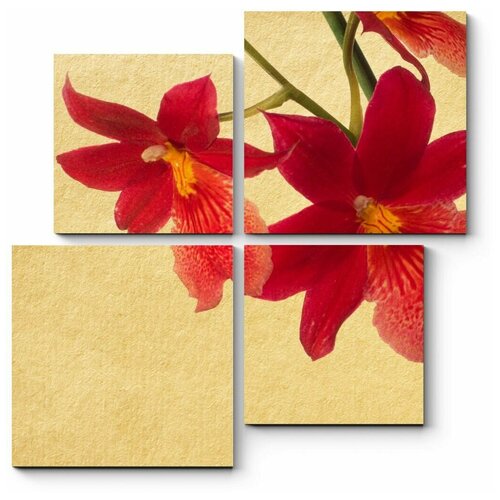 Модульная картина Красные орхидеи60x60