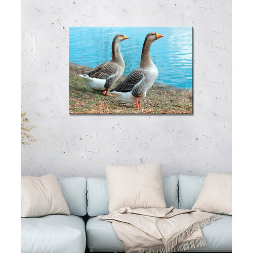 Картина - Два гуся, серые гуси, дикие гуси у воды, красивые гуси (24) 30х40
