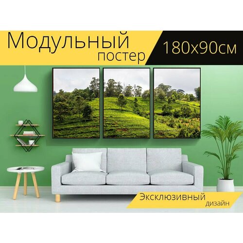 Модульный постер "Чайная плантация, ферма, растительность" 180 x 90 см. для интерьера