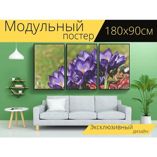 Модульный постер "Крокус, семья ирисов, фиолетовый" 180 x 90 см. для интерьера