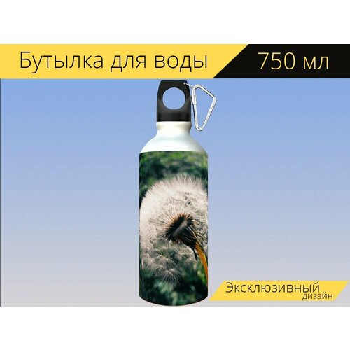 Бутылка фляга для воды "Одуванчик, зелень, природа" 750 мл. с карабином и принтом