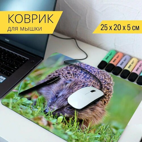 Коврик для мыши с принтом "Ежик, шпора, ханна" 25x20см.