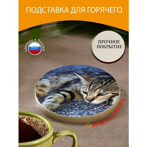 Подставка под горячее "Кошка, кот, европейская кошка" 10 см. из блого мрамора