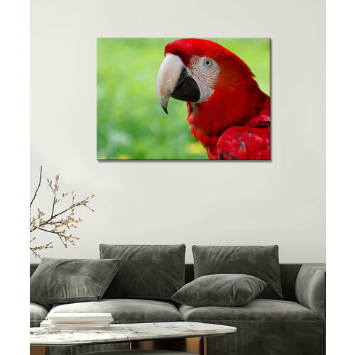 Картина/Попугай/Попугаи/Попугай на дереве/Попугай вблизи/ - Попугай (42) 50х70