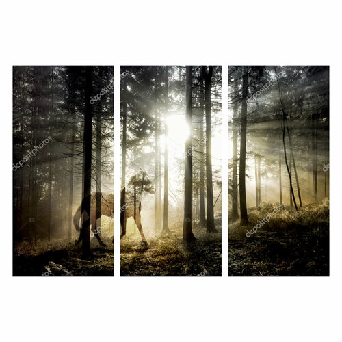 Модульная картина "Тени в лесу" (Размер:120х80см (38х80,38х80,38х80))