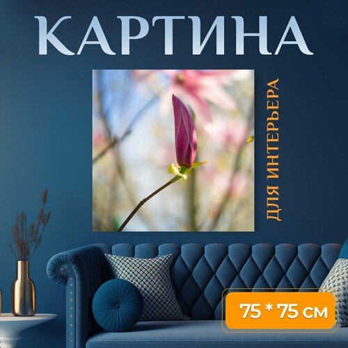 Картина на холсте "Весна, магнолия, природа" на подрамнике 75х75 см. для интерьера