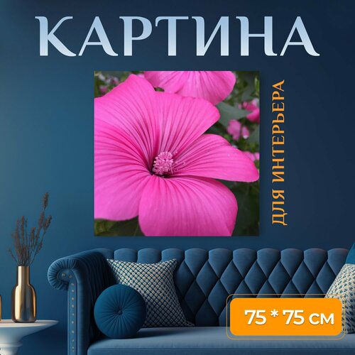 Картина на холсте "Цветок, розовый, флора" на подрамнике 75х75 см. для интерьера