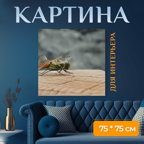 Картина на холсте "Стрекоза, насекомые, крыло" на подрамнике 75х75 см. для интерьера