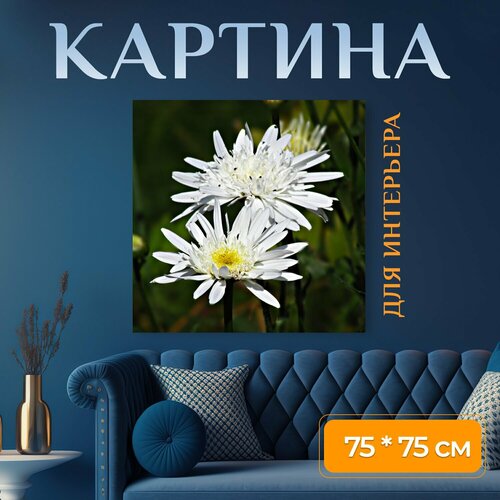 Картина на холсте "Цветок, белый, цветы" на подрамнике 75х75 см. для интерьера