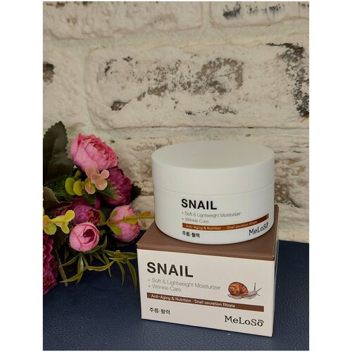 Крем для лица с муцином улитки Meloso Snail Balancing Cream, 100мл