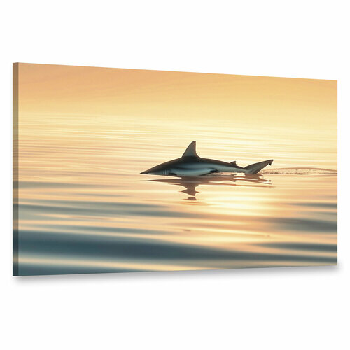 Интерьерная картина 100х60 "Акула в закатном море"