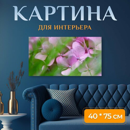 Картина на холсте "Гортензии, цветы, фиолетовые цветы" на подрамнике 75х40 см. для интерьера