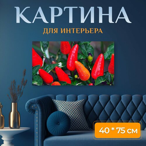 Картина на холсте "Красный, перец, овощи" на подрамнике 75х40 см. для интерьера
