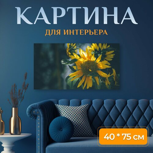 Картина на холсте "Подсолнухи, цветы, растения" на подрамнике 75х40 см. для интерьера