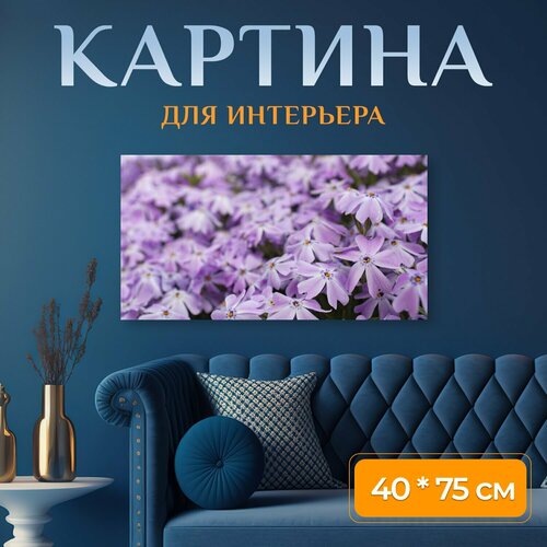 Картина на холсте "Фиолетовый, цветок, сад" на подрамнике 75х40 см. для интерьера