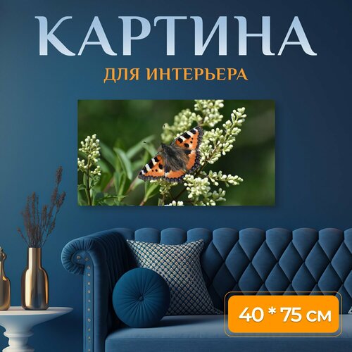 Картина на холсте "Бабочка, маленькая лиса, насекомое" на подрамнике 75х40 см. для интерьера