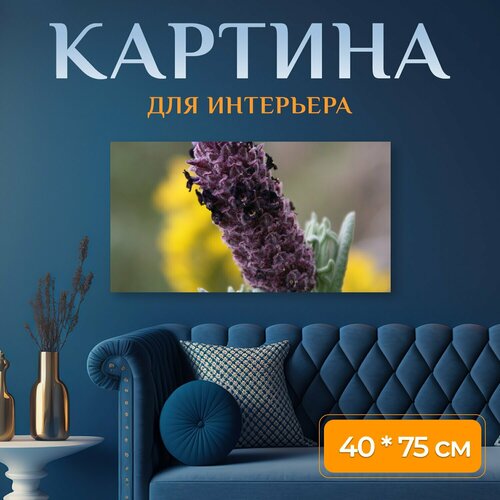 Картина на холсте "Лаванда, цветок, луг" на подрамнике 75х40 см. для интерьера