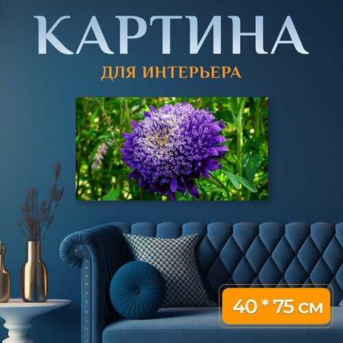 Картина на холсте "Астра, цветок, синий" на подрамнике 75х40 см. для интерьера